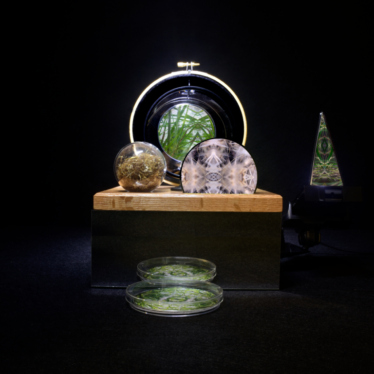 Artist Talk | Carbon_Dating - NorthSite Contemporary Arts_